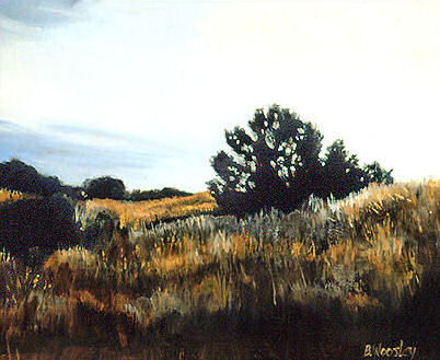 B Woosley American Artist